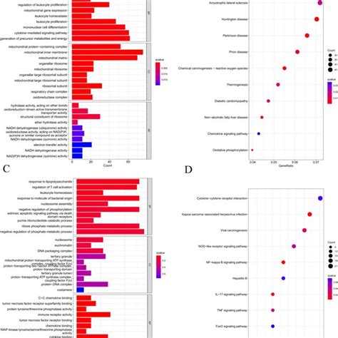 Functional Enrichment Analysis Of Degs A The Top 10 Functional