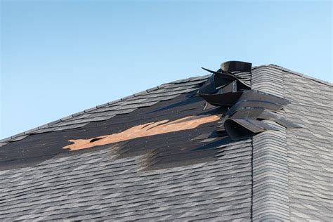 Top 8 Signs Of A Roof Leak And Ways To Prevent Water Damage Dry Force