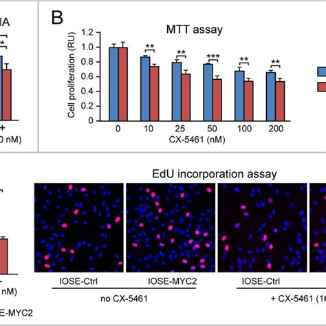 Targeting Nucleolar And Mitochondrial Rrna Transcription And