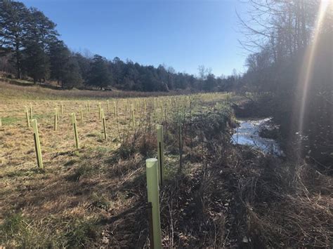 buffer program works with landowners in upper middle james river