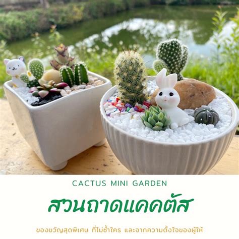 สวนถาด สวนจิ๋ว แคคตัส กระบองเพชร Cactus Garden น่ารัก ชุดจัดสวนถาดจัด