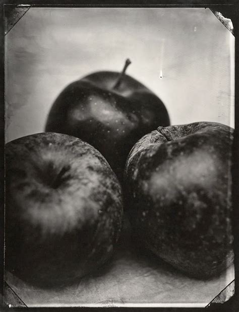 Tom Baril Photography Holden Luntz Gallery