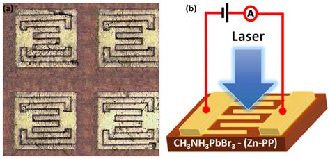 Nanomaterials Free Full Text Enhancement Of Photodetector