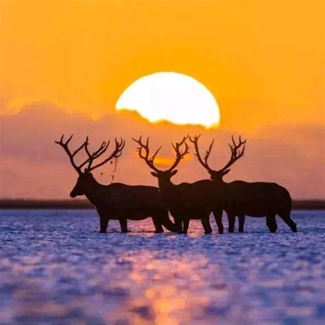 佳木斯汤原县筑牢办事大厅疫情防控安全堡垒服务政务付海波