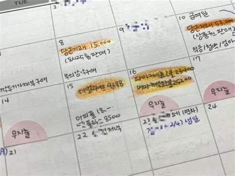 쓰담여사 깍두기가계부 가계부쓰기 따라하기 2월중간정검 실제로 절반 이상 카드사용 덜 했어요 뱅크샐러드 네이버 블로그
