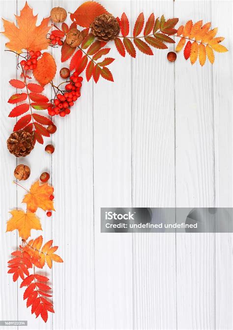 단풍잎 솔방울 견과류 호박 마가목 열매 가을 추상 구성 추수감사절 개념 계절 배경 배너 또는 화면 보호기 인사말 카드 또는 텍스트 장소가 있는 초대장이 있는 프레임 가을에