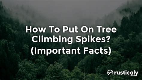 How To Put On Tree Climbing Spikes Important Facts