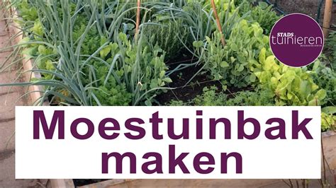 Stadstuinieren Moestuinbak Maken Moestuin YouTube