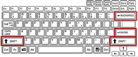 Cbse Class 7 Computer Science Typing Tutor Worksheet