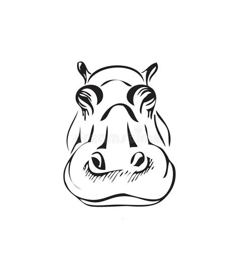 Head Of A Hippo Stock Vector Image Of Hippopotamus Portrait 68522557