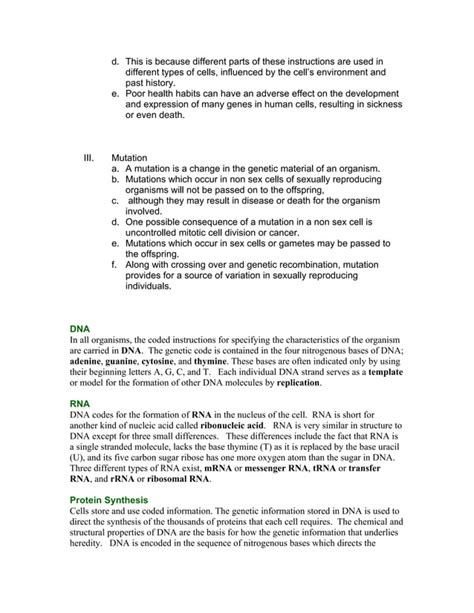 Dna Structure And Function Notes DOC