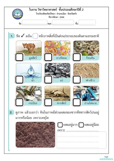 ประถมศึกษาปีที่ 2 Interactive Worksheets And Online Exercises Topworksheets