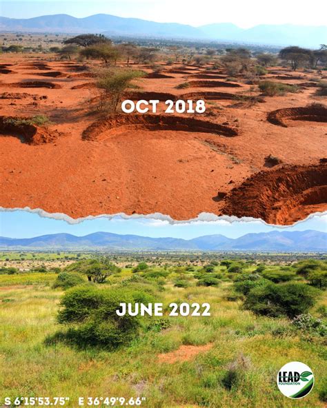 Lead Foundation Tanzania On Linkedin Leadfoundation