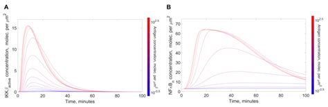 Activation Profiles For Ikkβ And Nfκb In Response To Antigen Binding Download Scientific