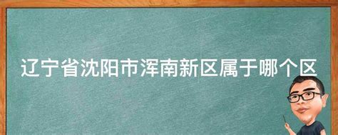 辽宁省沈阳市浑南新区属于哪个区 业百科