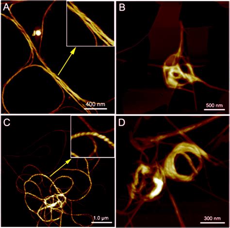 Fabrication Of Circular Polarized Luminescent Helical Fibers From