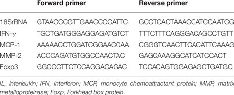 Primer Sequences For Analysis Of Mrna Expression Download Scientific