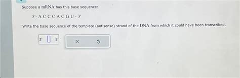 Solved Suppose A MRNA Has This Base Sequence A C C C A Chegg