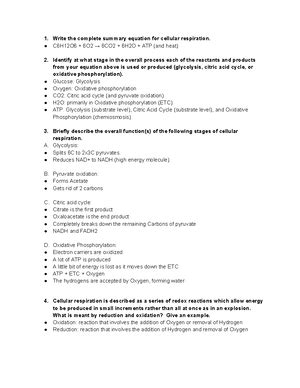 Spectrophotometer Lab Report Introduction To Spectrophotometry Preparation Of An Absorption
