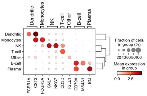 后端 单细胞分析 Scanpy 核心绘图 2 个人文章 Segmentfault 思否