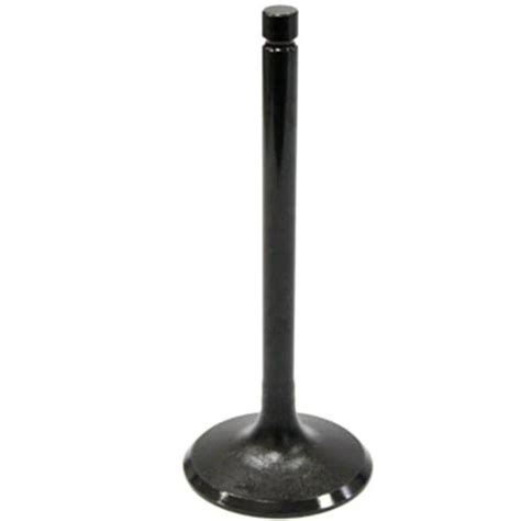 Bronco Atvutv Intake Valve Honda Au 09005i Ebay