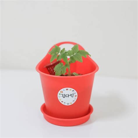 A4 라벨지 출력용 라벨스티커 규격코드 586 Φ30 Mm 원형 출력용 스티커 라벨 전문 아이라벨