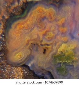 Multi Colored Moss Agate Stock Photo Shutterstock