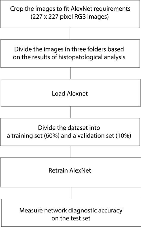 Workflow Used For Transfer Learning With Alexnet Download Scientific