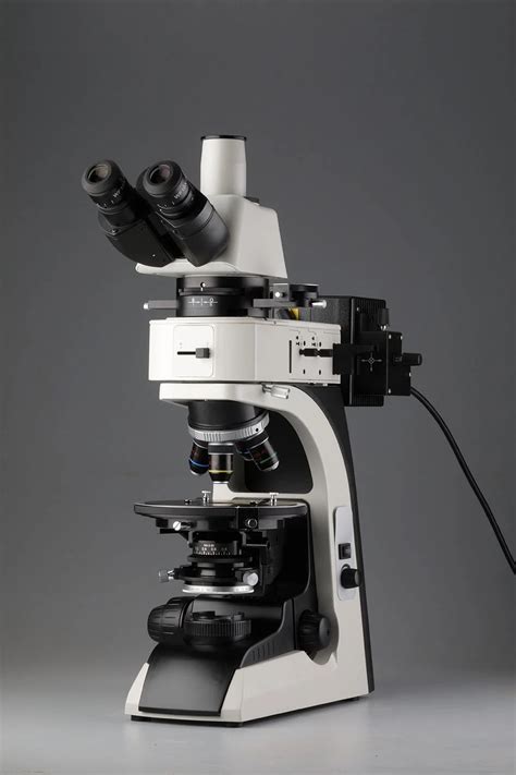 Polarizing Microscopes Explore Advanced Polarizing Microscopes