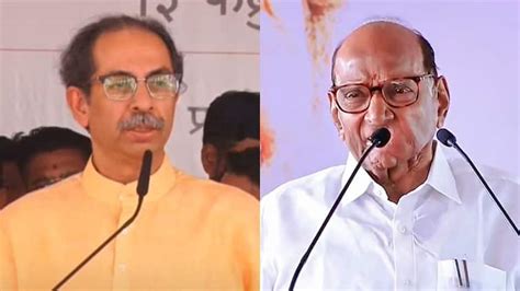 Abp Majha Opinion Poll उद्धव ठाकरे शरद पवारांना लोकसभा निवडणुकीत
