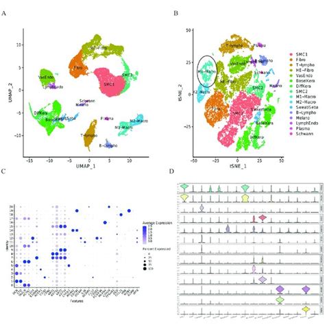 Expression Of Every Clusters Marker Genes A 32574 Cells From All Download Scientific Expression Of Every Clusters Marker Genes A 32574 Cells From All Download Scientific
