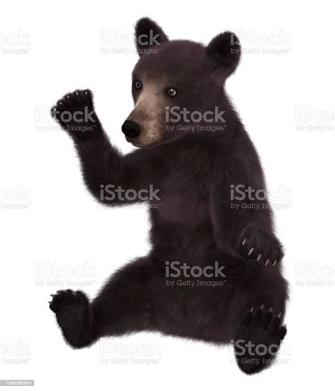 흰색 배경 3d 그림에 고립 된 블랙 곰 새끼 3차원 형태에 대한 스톡 사진 및 기타 이미지 3차원 형태 검은색 곰