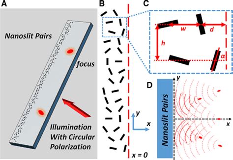 A Principle Of The Polarization Controlled Tunable Multi Focal