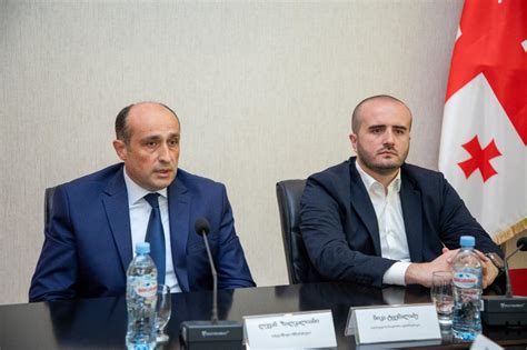 საქართველოს მთავრობის ადმინისტრაციის რეგიონებთან ურთიერთობის დეპარტამენტის უფროსმა ნიკა