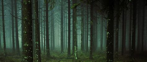 Python Package Structure Dead Simple Python Project Structure And