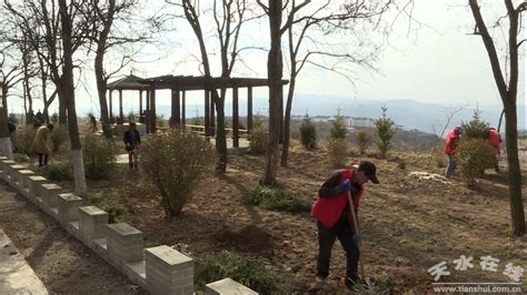 中梁镇：开展国土绿化 提升人居环境图 天水在线