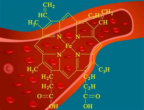 Biochem Hemoglobin Attempts Quiz Trivia Questions