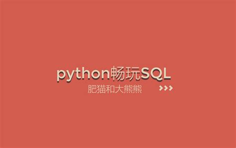 呆瓜半小时入门python数据分析在线视频教程 Csdn程序员研修院