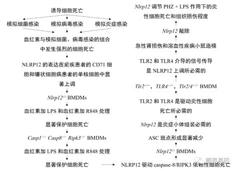 Cell 揭示先天性免疫细胞泛凋亡机理 知乎