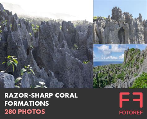 280 Photos Of Razor Sharp Coral Flippednormals
