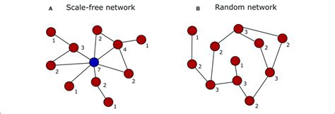 Graphical Representation Of A Scale Free Vs A Random Network The