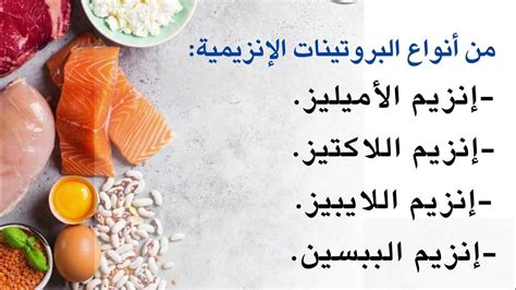 العناصر الغذائية الاساسية التي يحتاجها الجسم البروتينات Youtube