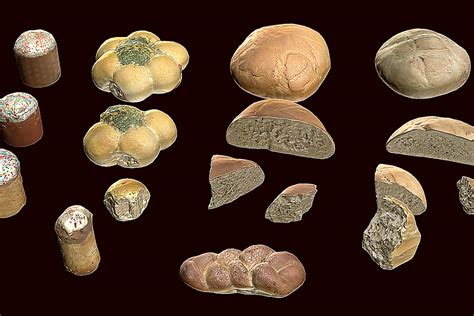 Scan Bakery Pack Props 3d 食物 Unity Asset Store
