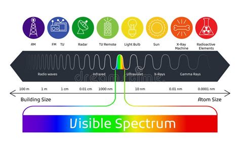 Visible Light Spectrum Wavelength Stock Illustrations 270 Visible