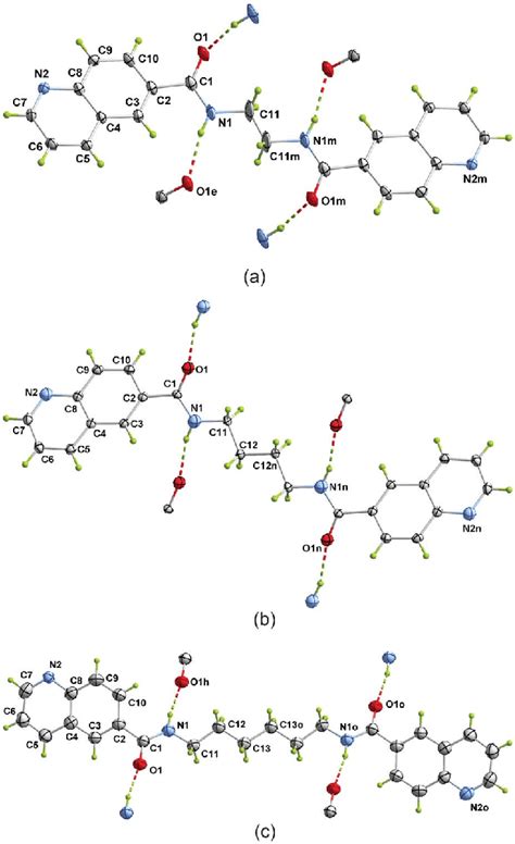 View Of A Fragment Of A A B B And C C Along With The Download Scientific Diagram