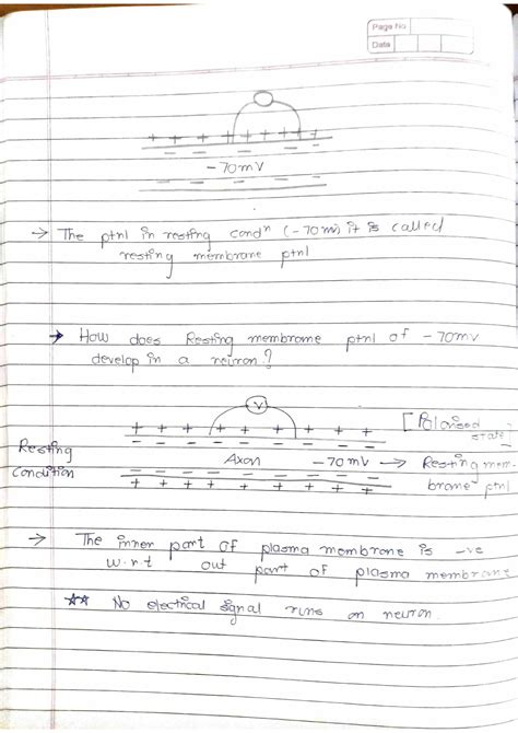 SOLUTION Resting Membrane Potential And Action Membrane Potential Ncert Class Notes Studypool