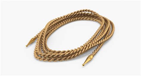 Golden Lasso Truth Coiled 3d Max