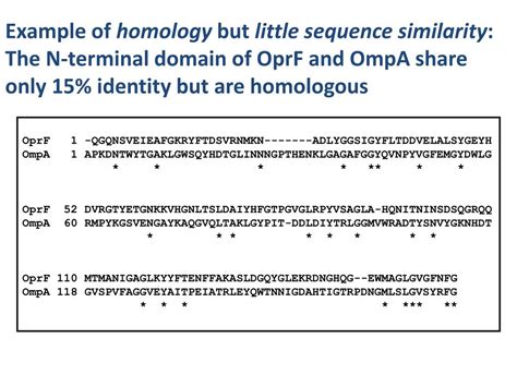 Ppt Ngs Bioinformatics Workshop 13 Sequence Alignment And Searching