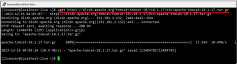 Fedora에서 Apache Tomcat 설치하는 방법