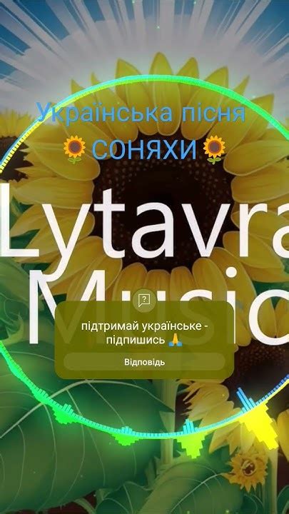 Самі круті українські пісні 2024 СОНЯХИ V 1 Патріотична пісня від Lytavramusic Youtube